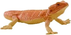 Mojo Agama / od 3 let