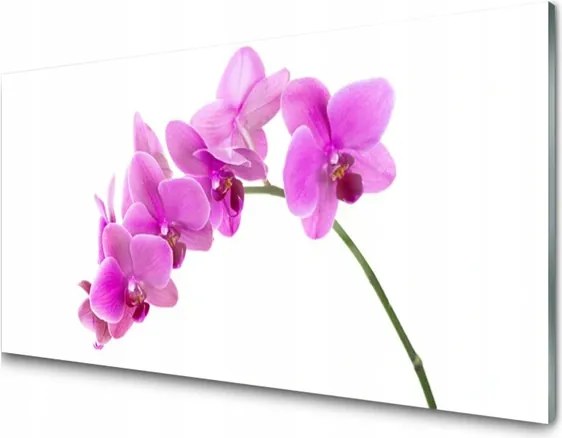 Obraz na skle Orchidej Květina Orchidej 120x60