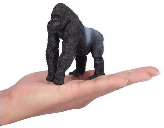 Mojo Gorila stříbrohřbetá samec