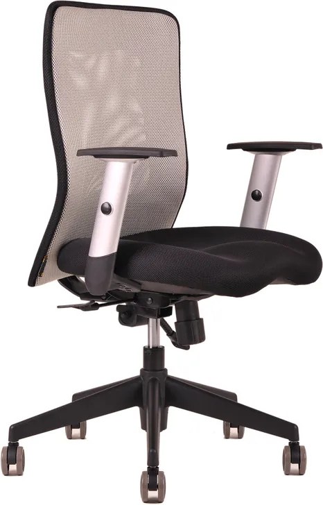 Kancelářská židle na kolečkách Office Pro CALYPSO - s područkami Světle šedá 12A11