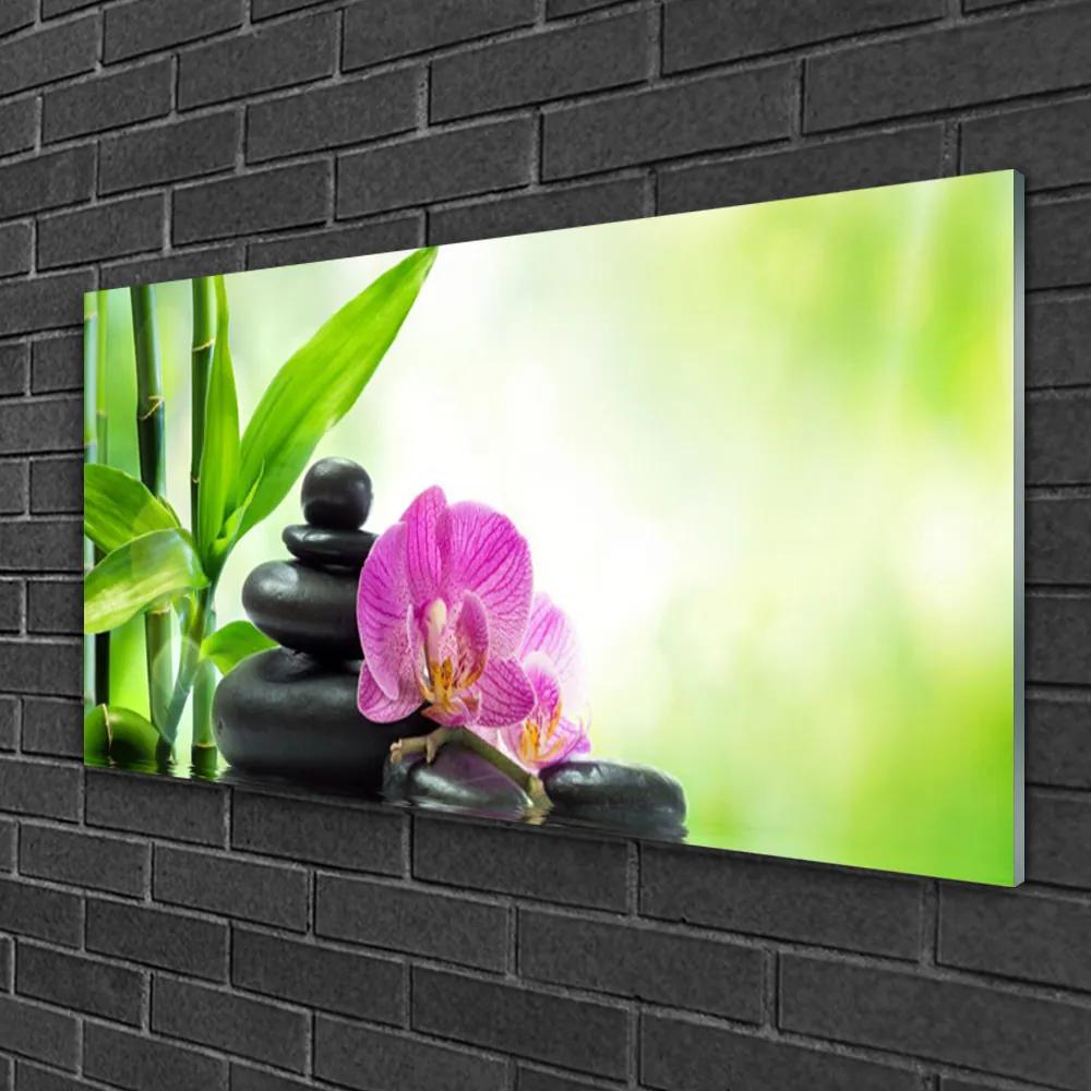 Obraz na skle Bambus Kameny Zen Umění 140x70 cm