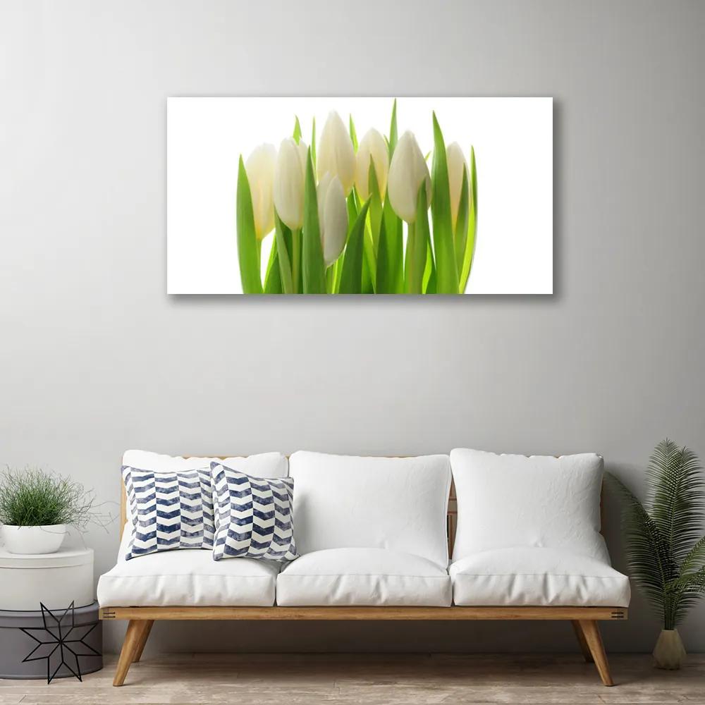 Obraz na plátně Tulipány Rostlina Příroda 125x50 cm