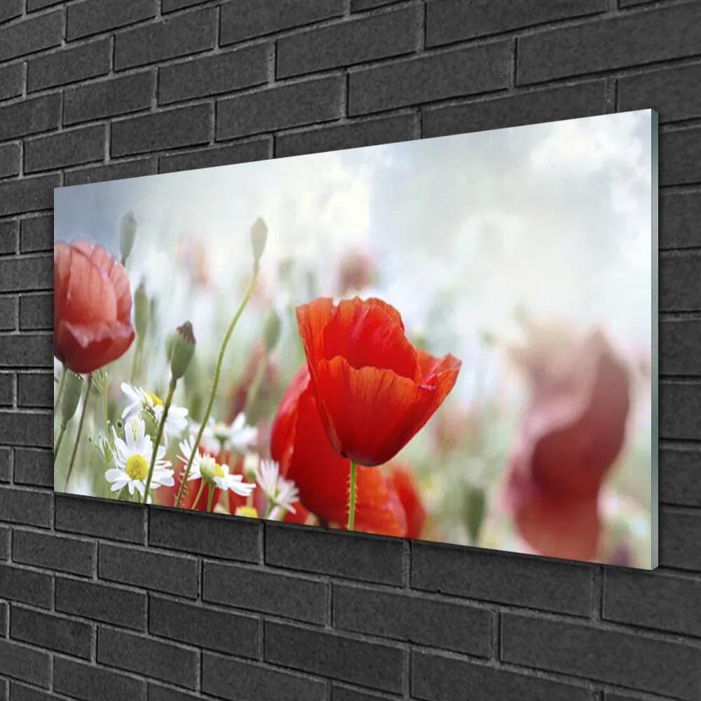 Obraz na skle Květiny Plátky Rostlina 100x50 cm