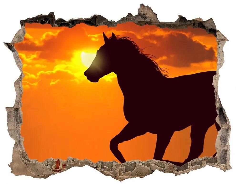 Wallmuralia Díra 3D fototapeta na stěnu Kůň západ slunce 95x64 cm