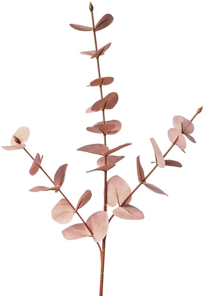 XXXLutz DEKORAČNÍ VĚTVIČKA eukalyptus/blahovičník 68 cm - Umělé květiny - 0068600195