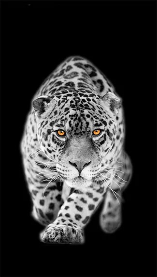 Designový závěs - Leopard - 140x245 cm