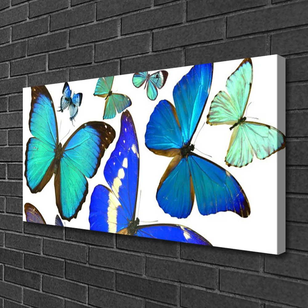 Obraz na plátně Motýli Příroda 120x60 cm