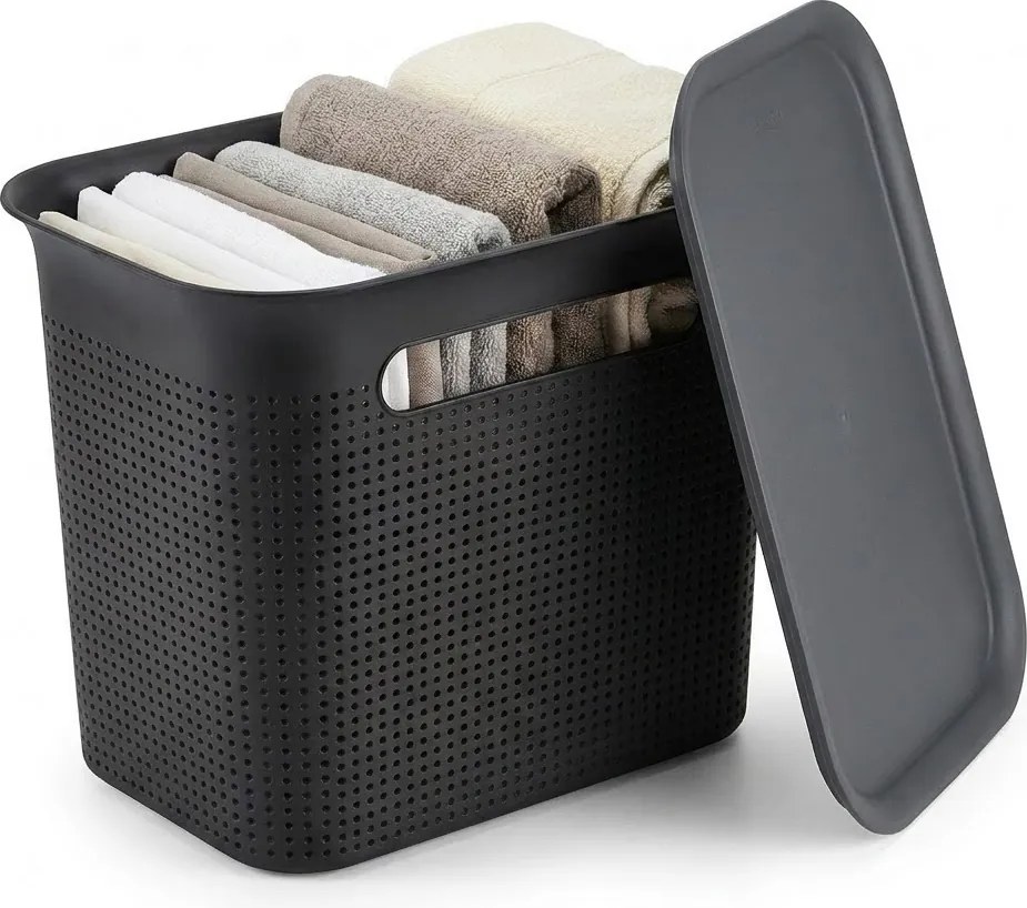 Rotho Úložný box s víkem a s madly BRISEN 7l, 26x18x21cm, černý
