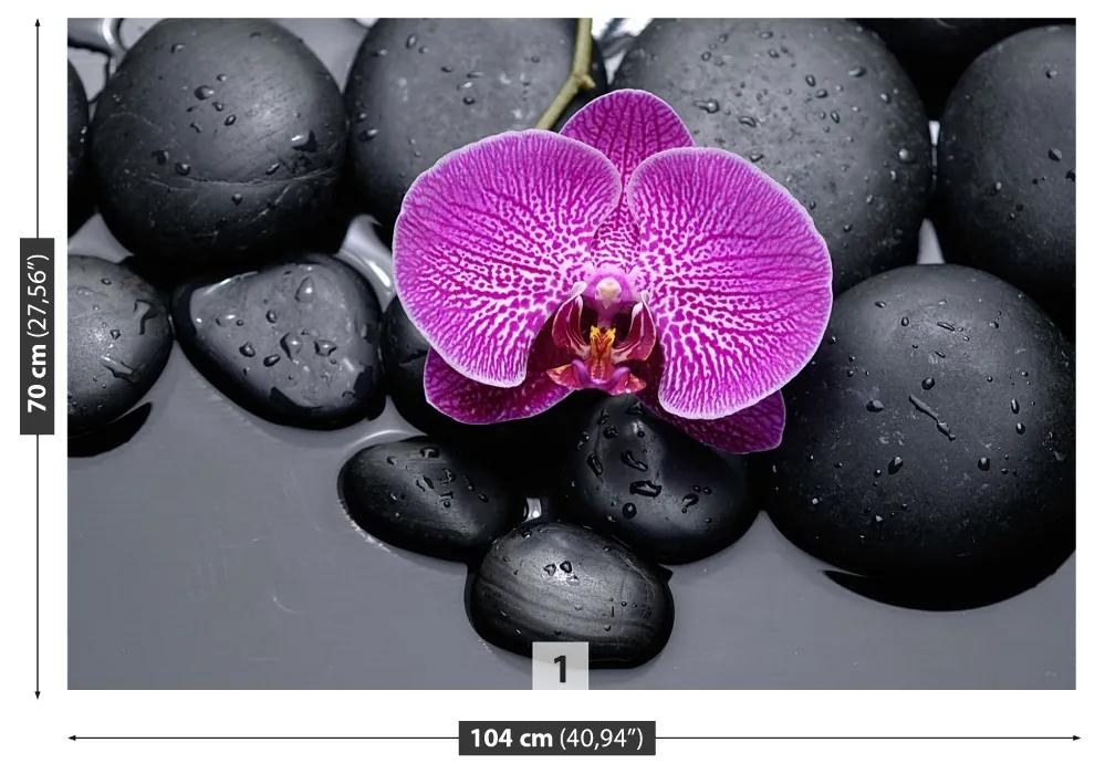 Fototapeta Orchidejové kameny