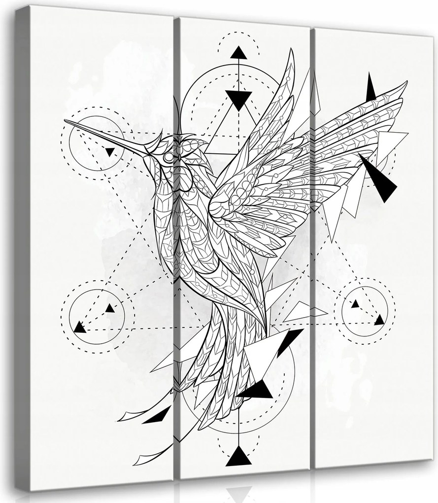 Obraz 90x100 Kolibříci geometrie abstrakce minimalismus grafika letový pohyb