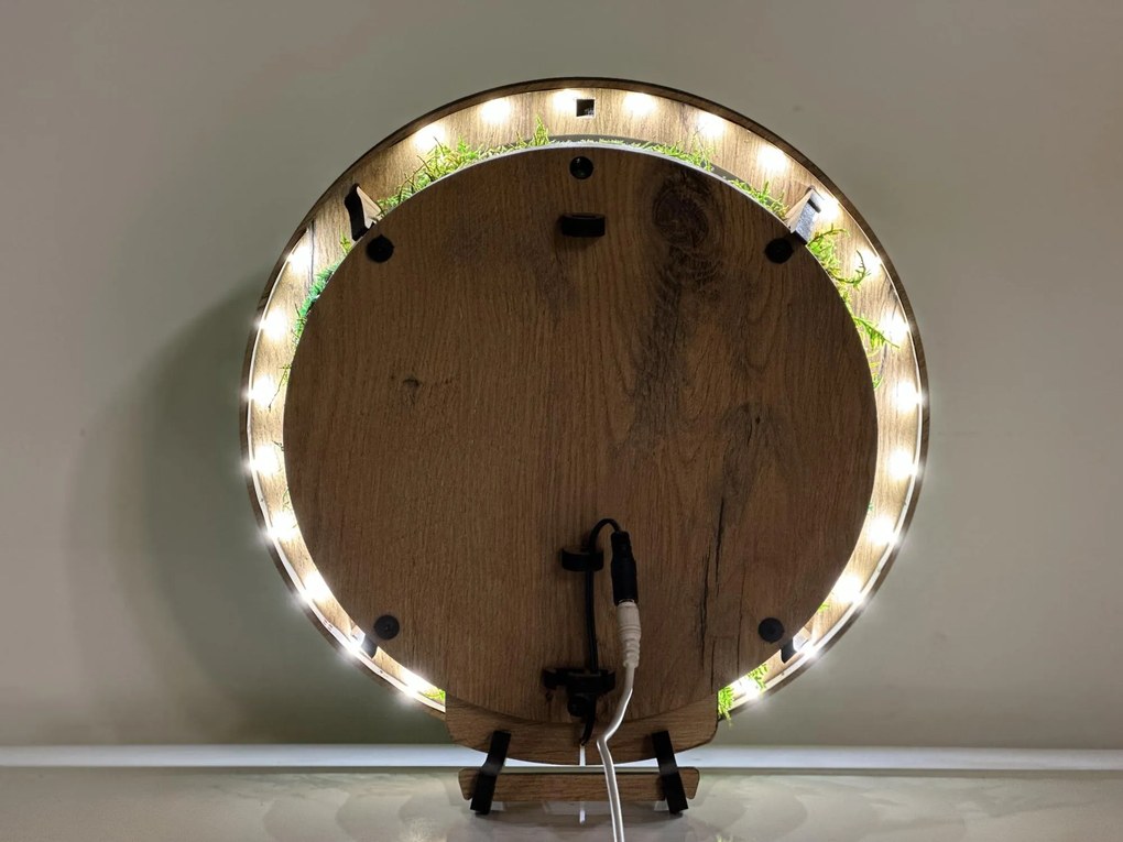 Li-Go "Mechové zátiší" dřevěná lampa/obraz 12V/230V černá s patinou velikost svítidla/hodin: 31 cm