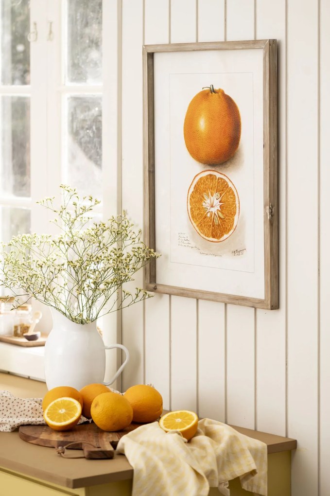 IB LAURSEN Obraz v rámu Citrus Fruits 45 x 60 cm Citron, žlutá barva, oranžová barva, přírodní barva, sklo, dřevo, papír
