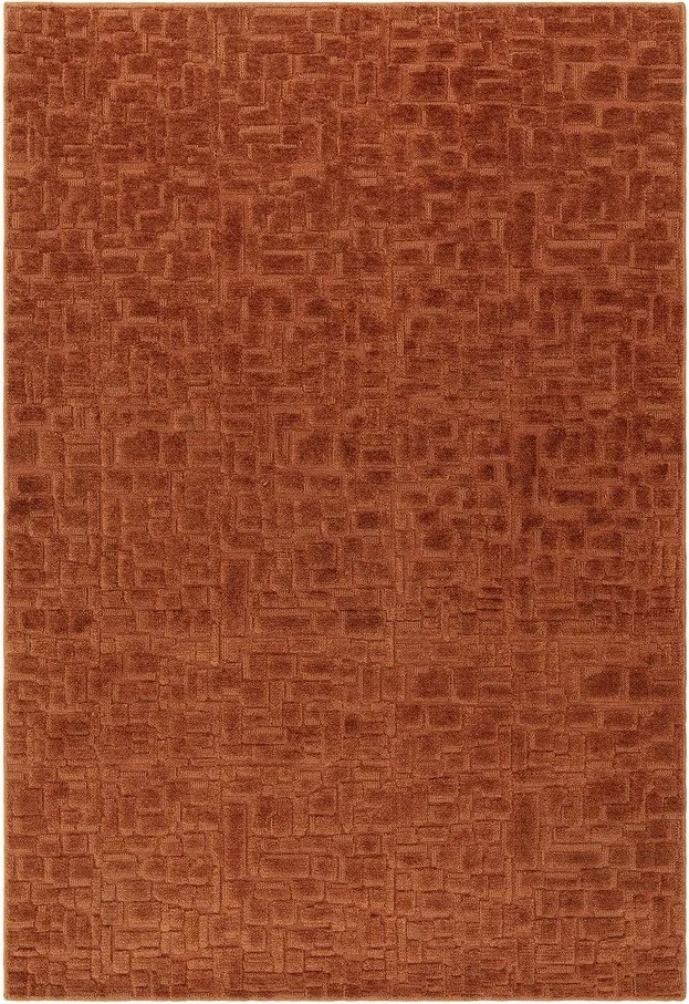 Koberec v terakotové barvě 200x290 cm – Asiatic Carpets