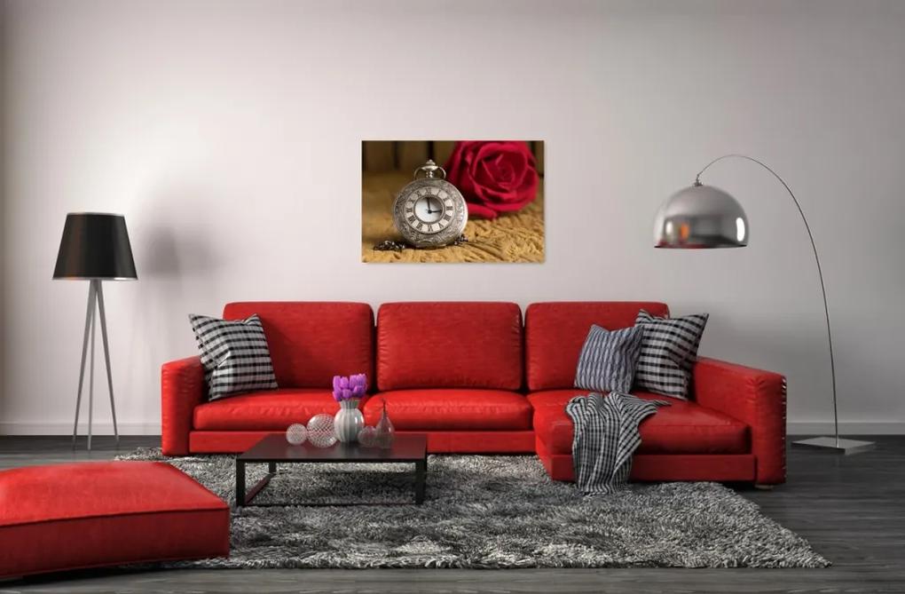 Malvis ® Obraz - Stopky a růže Velikost: 60x40 cm