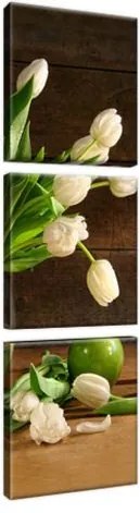 Tištěný obraz Bílé tulipány 30x90cm 1364A_3V