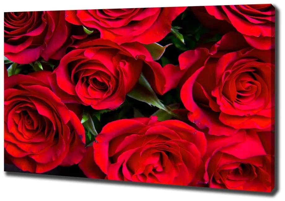 Wallmuralia Foto obraz na plátně Červené růže 100x70 cm