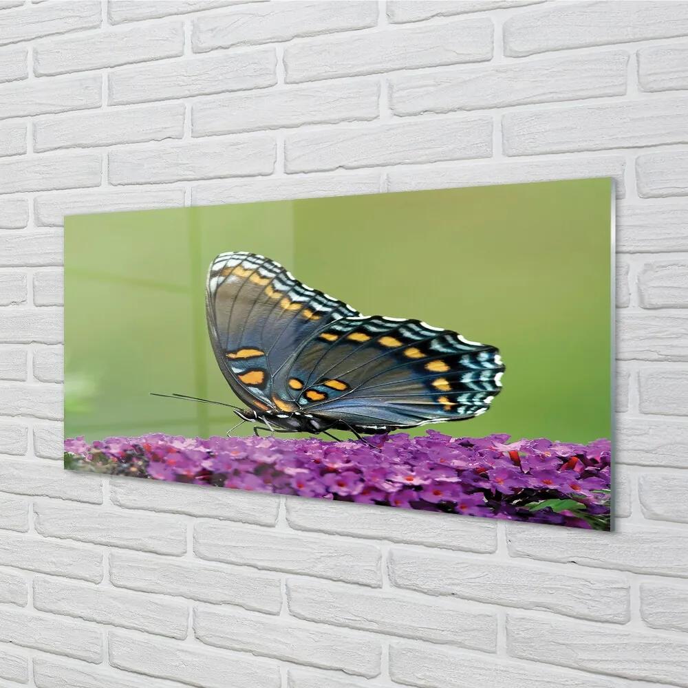 Obraz na skle Barevný motýl na květiny 120x60 cm