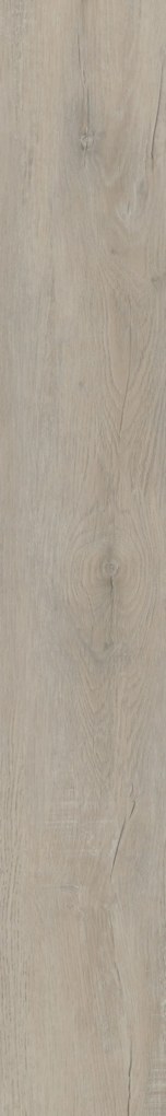 Oneflor, Vinylová podlaha lepená ECO 55 055 Old Oak Light Breige - dub, 1219,2 x 184,1 mm