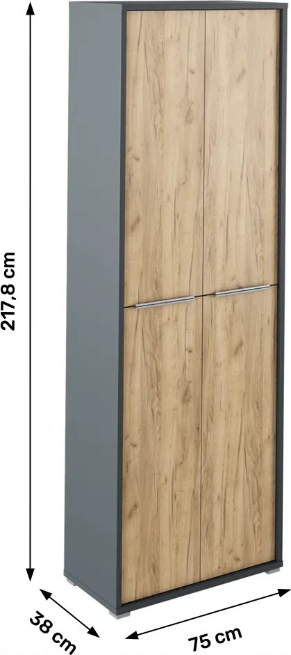 Vysoká skříň s policemi, grafit/dub artisan, RIOMA NEW TYP 05