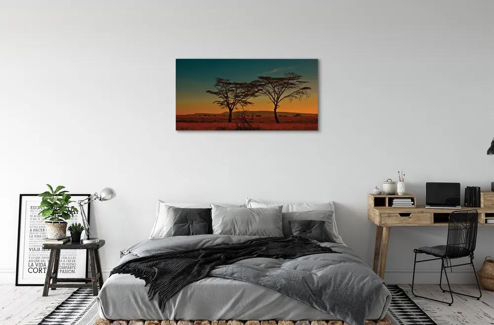 Obrazy na plátně oblohy stromu 100x50 cm