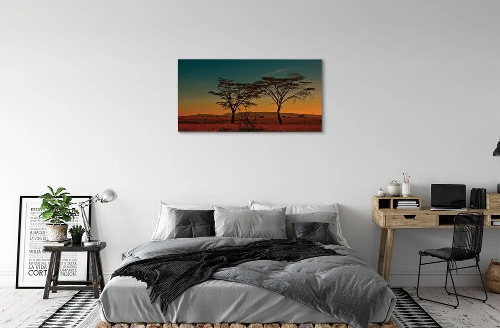 Obrazy na plátně oblohy stromu 140x70 cm