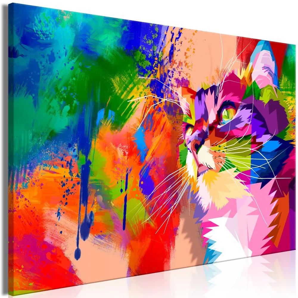 Obraz na plátně Bimago - Colourful Cat (1 Part) Wide 90x60 cm