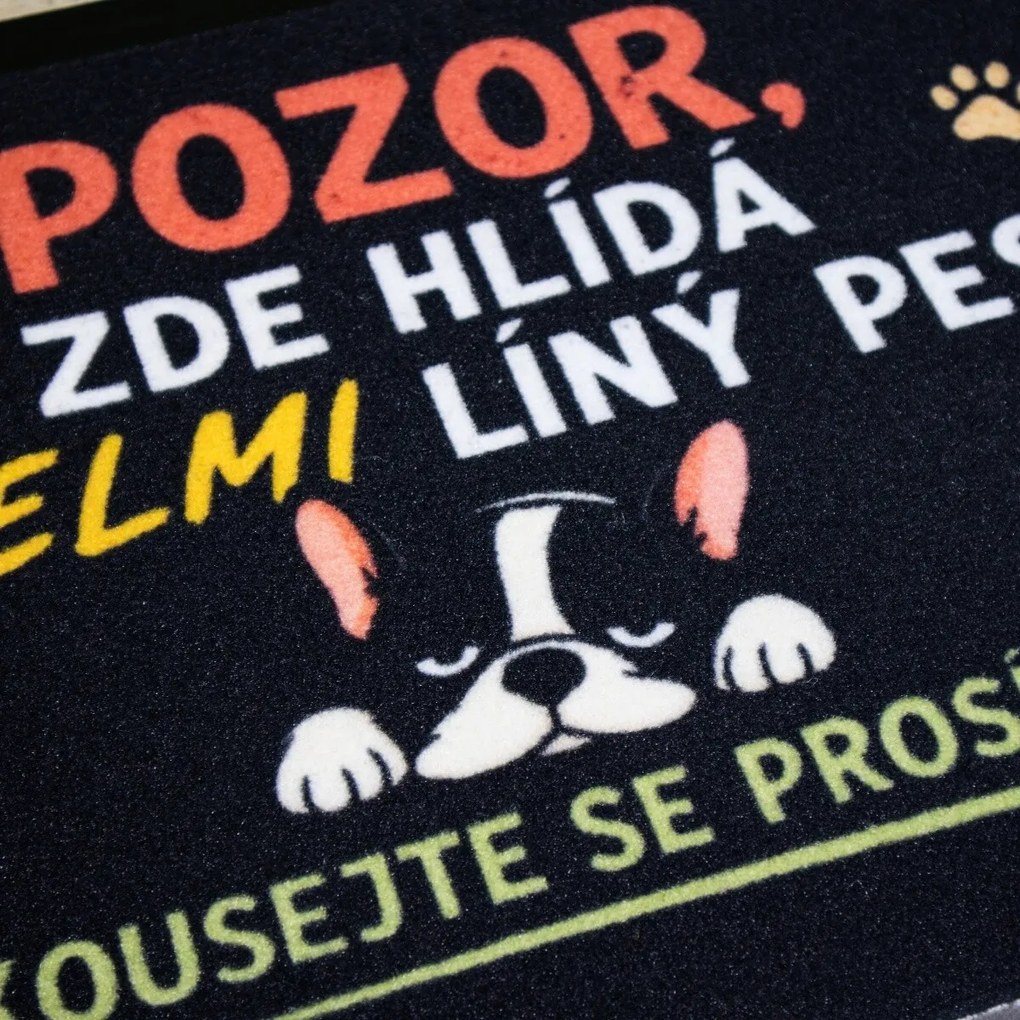 Mercury Flooring, Rohožka Líný pes 40x60 cm - na ven i na doma, 40x60, šedá