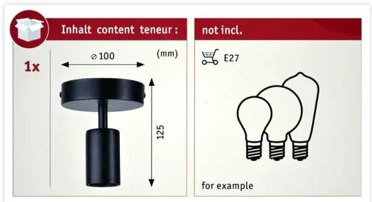 Paulmann 79760 - Stropní svítidlo HALDOR 1xE27/20W/230V