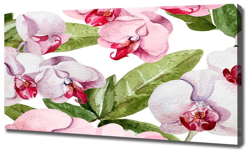 Wallmuralia Foto obraz na plátně Růžové orchideje 120x60 cm
