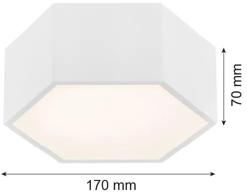 Argon 3828 - LED Stropní svítidlo ARIZONA LED/9W/230V bílá
