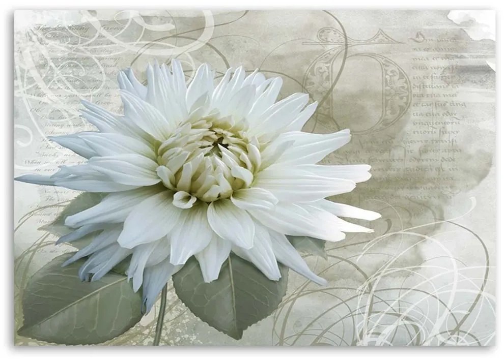 Obraz na plátně Bílá květina béžová Vintage - 120x80 cm