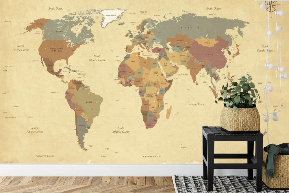 Fototapeta Mapa Světa Omyvatelný vlies 300x210