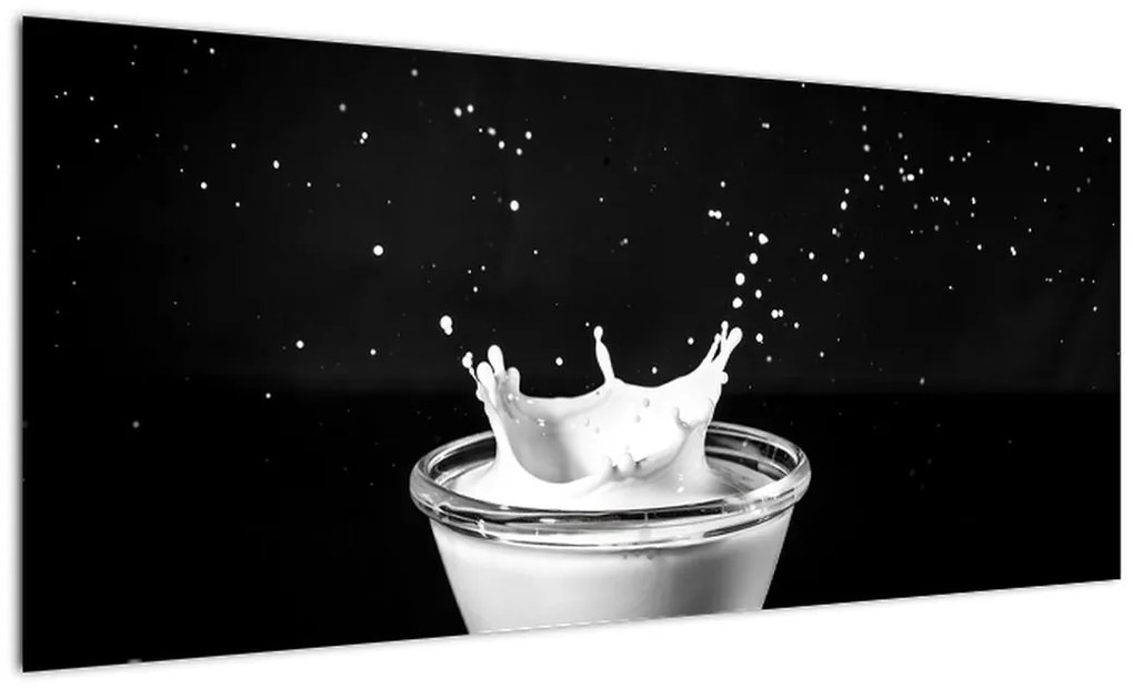 Obraz misky s mlékem (100x40cm)