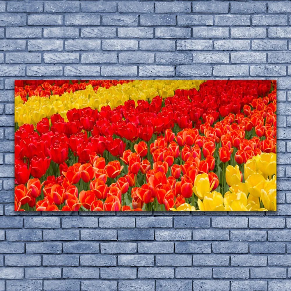 akrylový obraz Tulipány Květiny 120x60 cm