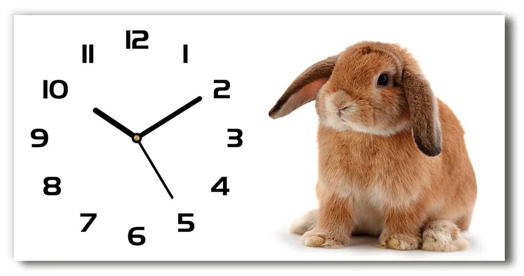 Moderní skleněné hodiny na stěnu Červený králík | Biano