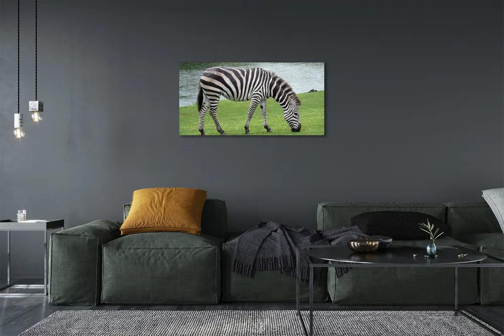 Obrazy na plátně zebra 140x70 cm