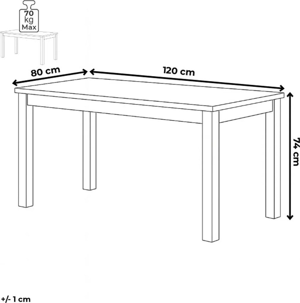 Jídelní stůl 120x80cm, mdf DT-313 WT
