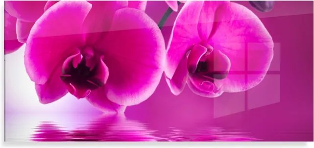 Skleněný obraz 110x50 - Růžové květiny (EXTRA - s vyvrtanými dírami) - Sablo.cz