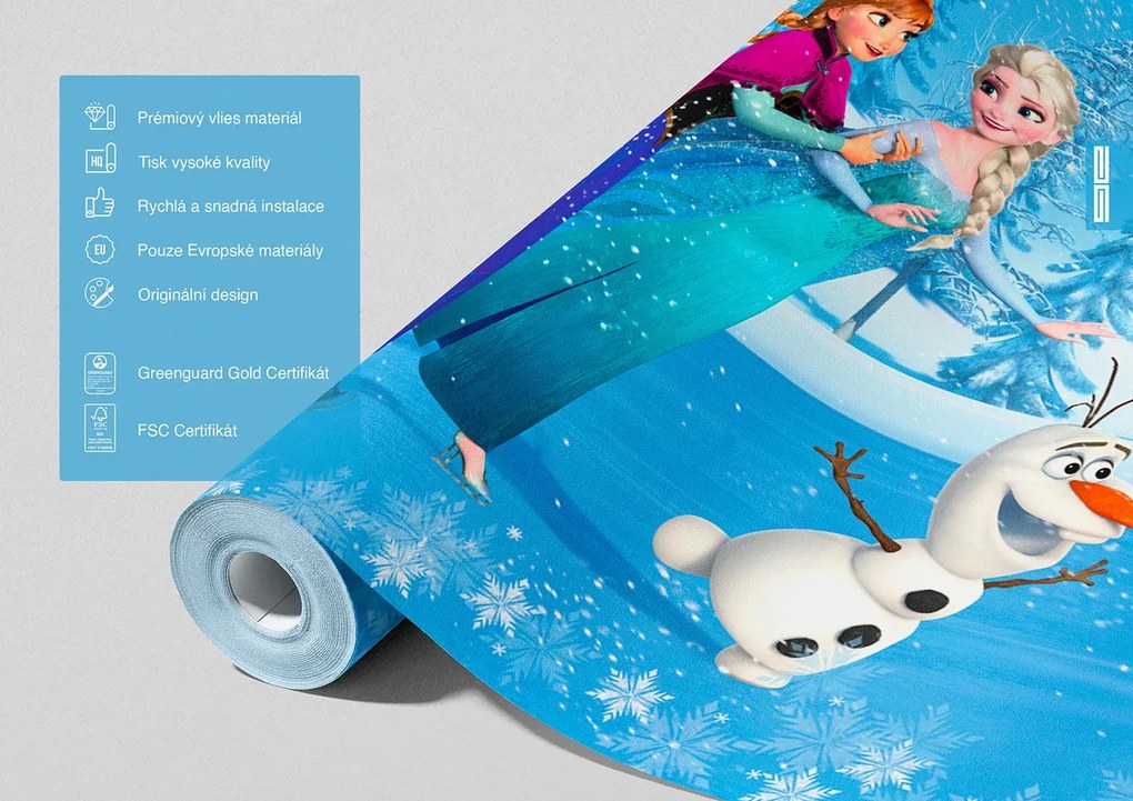 Dětská vliesová fototapeta na zed' Ledové království na ledě, Disney | 202 x 90 cm | DFTDNH 5366