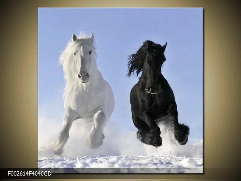 Obraz černého a bílého koně ve sněhu  (), 40 dalších rozměrů