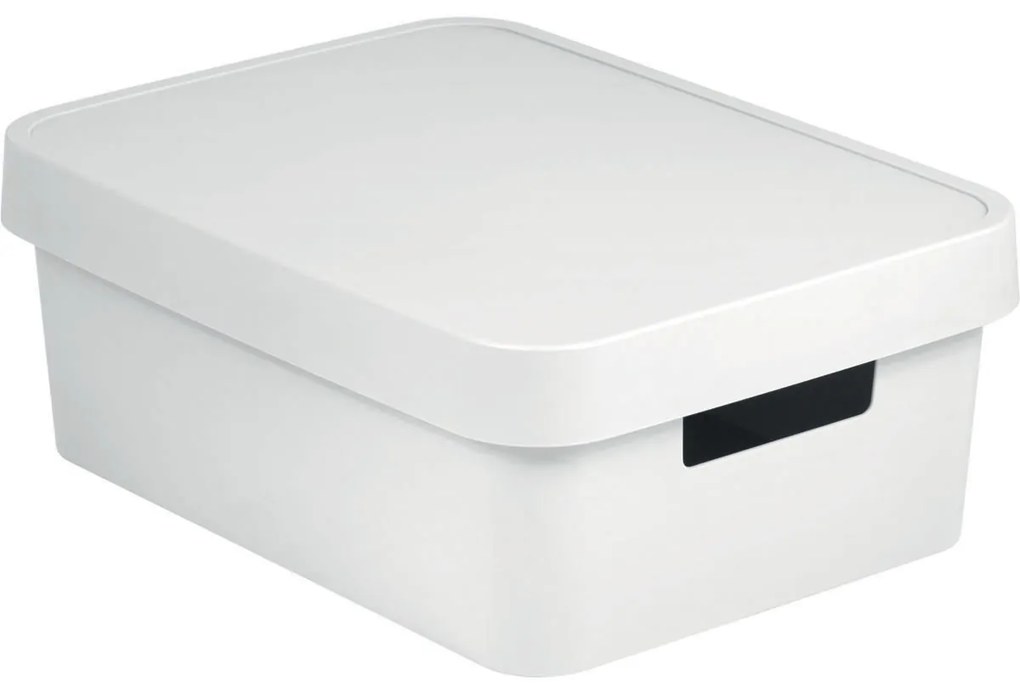 Curver Úložný box INFINITY M 11l