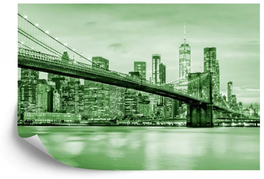 Fototapeta Brooklynský Most Nyc V Zeleném Strukturální vinyl 460x300