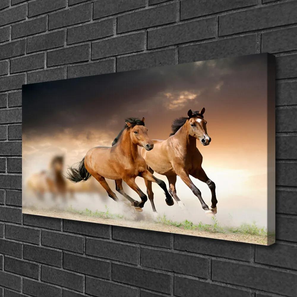 Obraz na plátně Koně Zvířata 120x60 cm