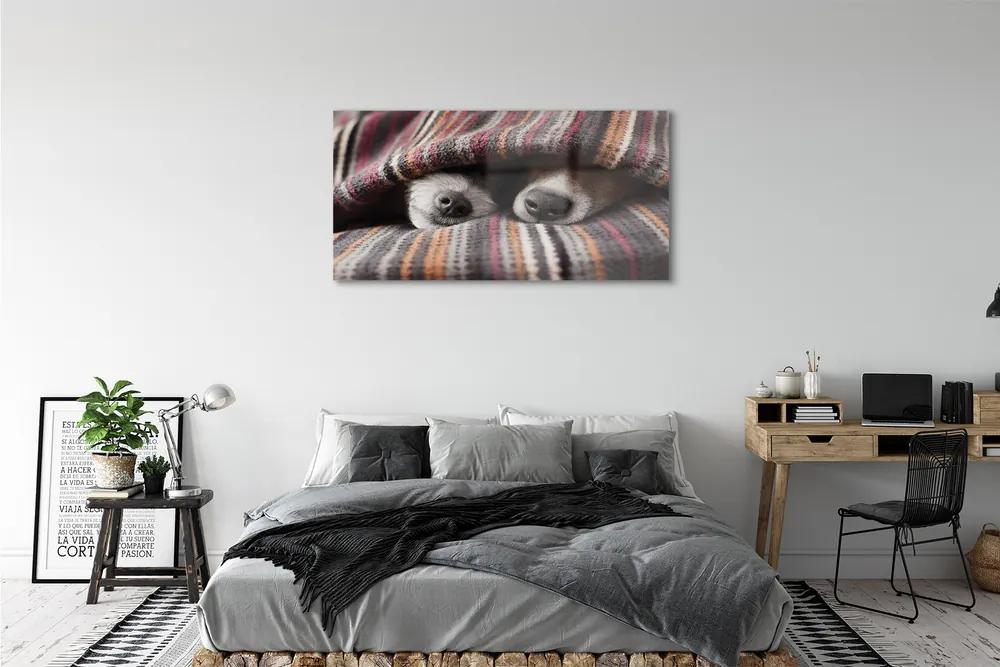 akrylový obraz spící psi 125x50 cm