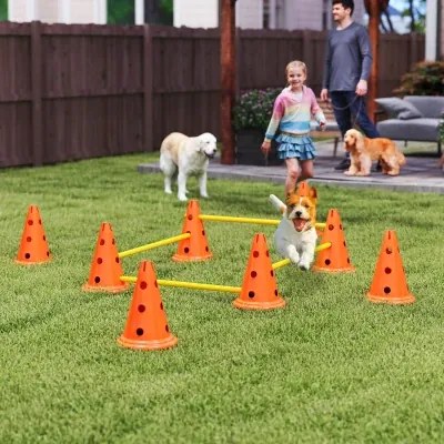 PawHut Agility set pro psy Překážkové bariéry Koordinační trénink 8 kuželů 8 tyčí Taška