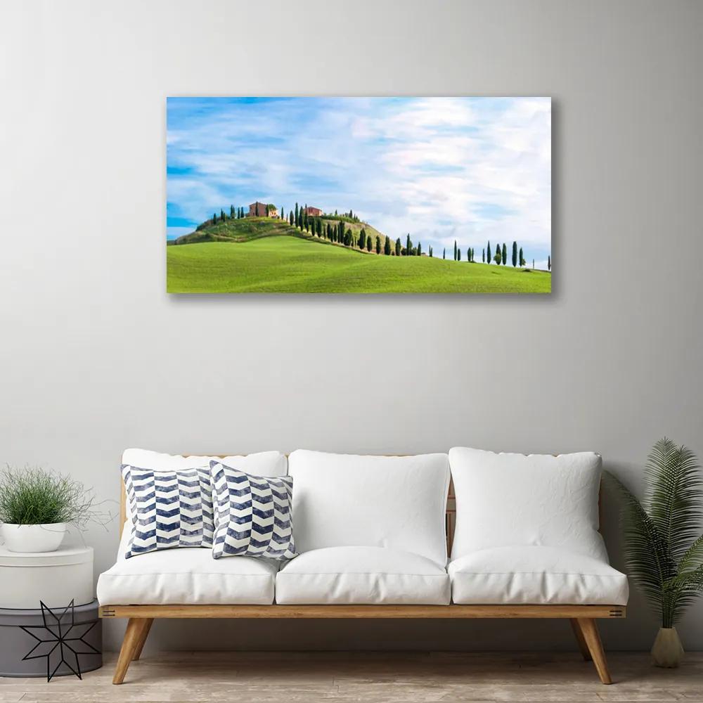 Obraz na plátně Louka Stromy Krajina 120x60 cm