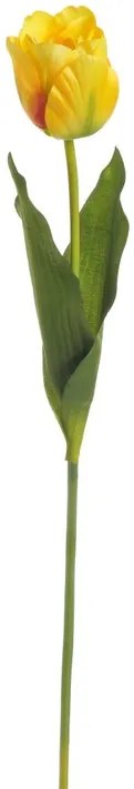 Tulipán žlutý plný květ 60cm, květ 6,5cm