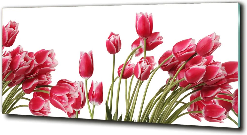 Fotoobraz na skle Červené tulipány
