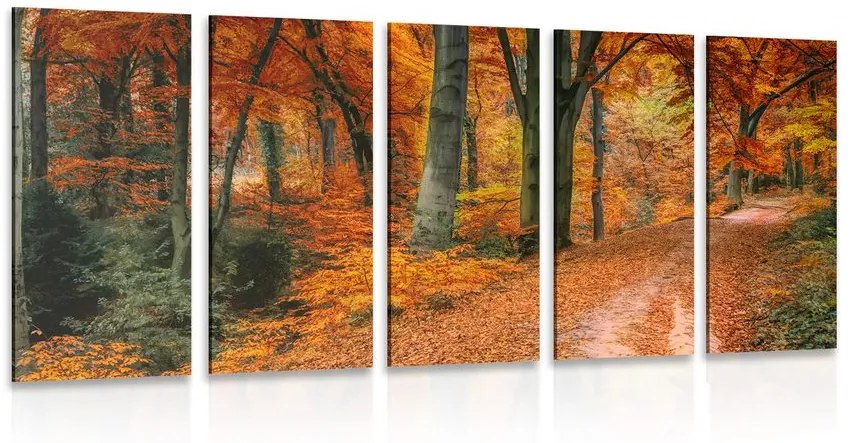 5-dílný obraz les v podzimním období Varianta: 100x50