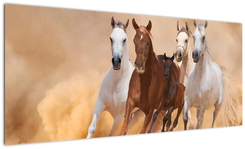 Obrazy běžících koní (100x40cm)